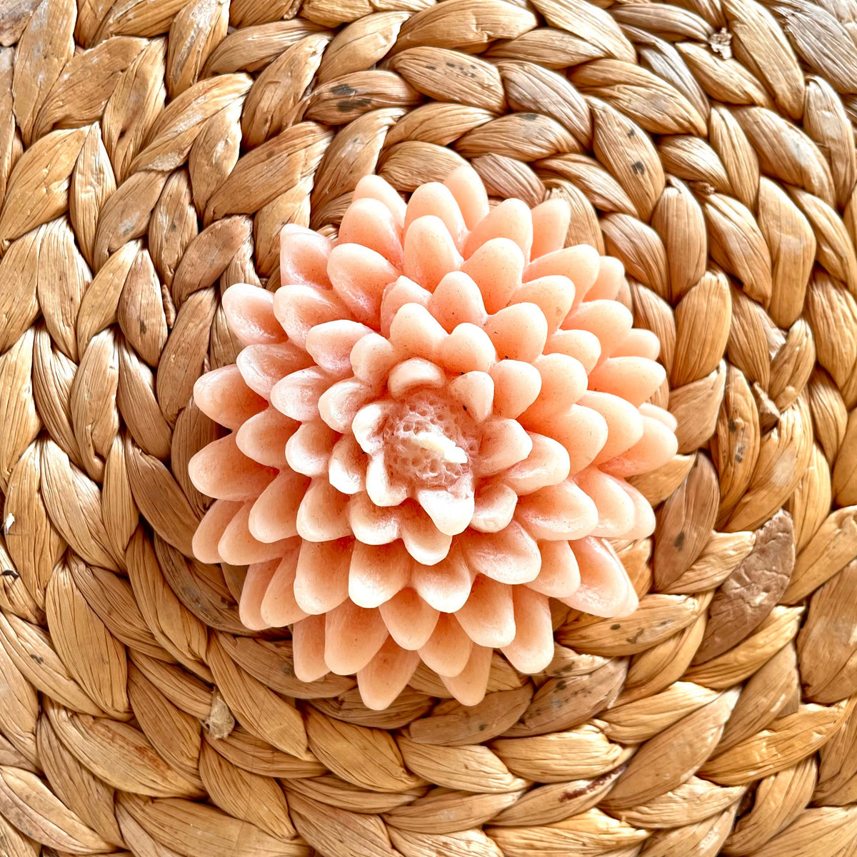 Prisma Flower Candles – Lily Stone Gardens