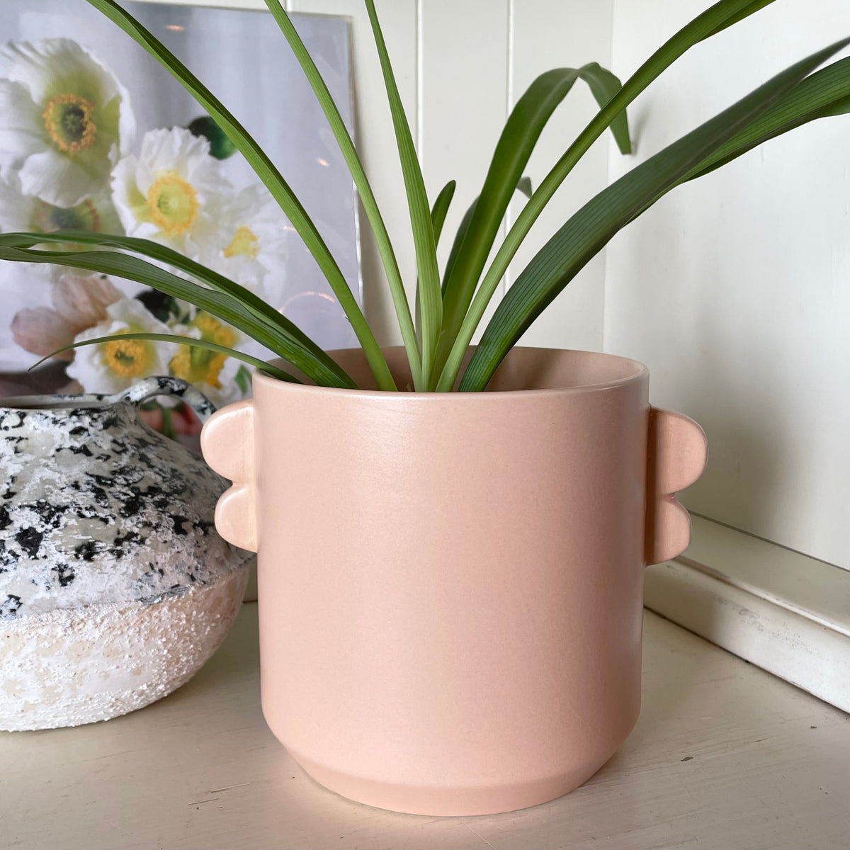 Pink Plant Pot – Lily Stone Gardens