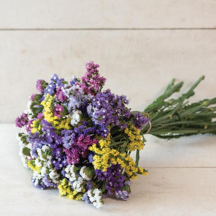 Statice - Seeker Mix Seed – Lily Stone Gardens